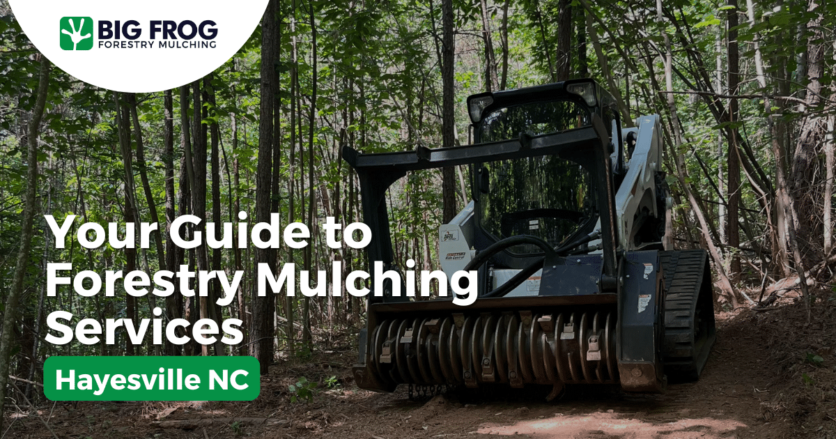 Expert Forestry Mulching & Land Clearing Services in Hayesville, NC ...