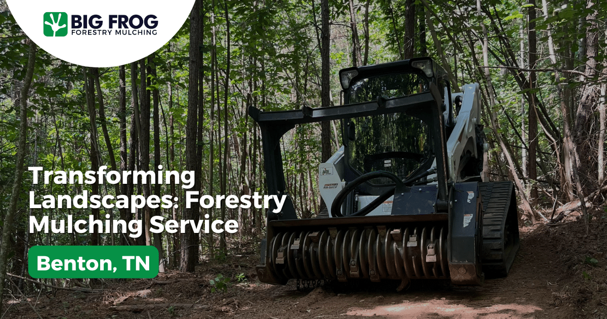 Forestry Mulching & Land Clearing Services Service Benton TN - Big Frog ...