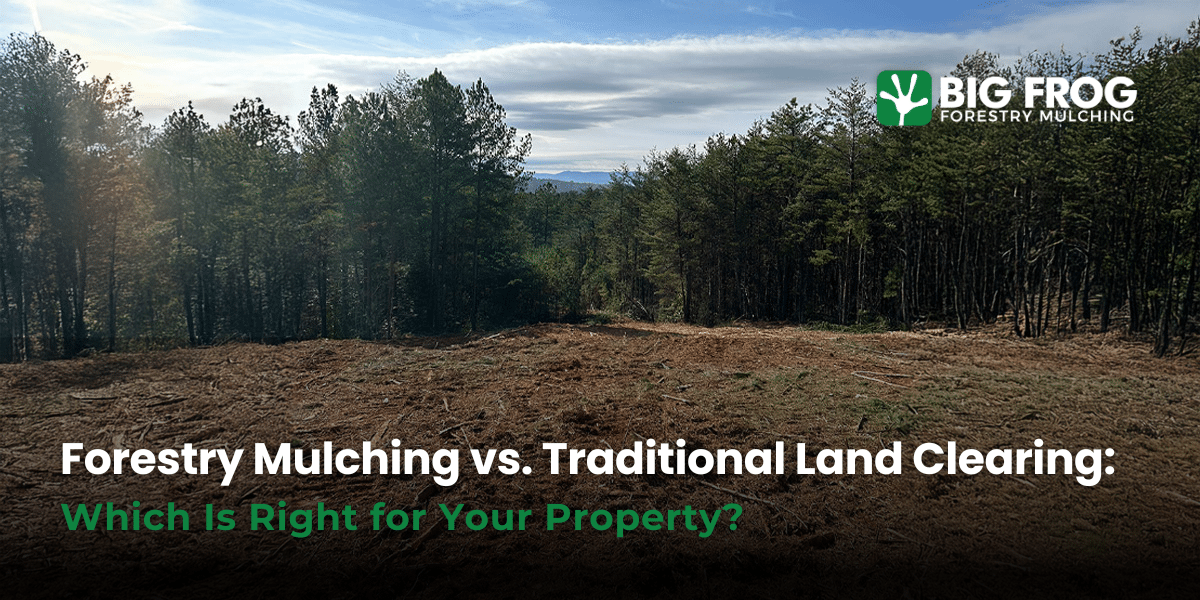 Forestry Mulching vs. Traditional Clearing | Land Clearing Comparison