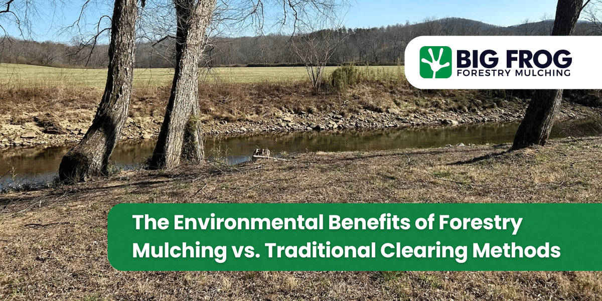 Environmental Benefits of Forestry Mulching | Eco-Friendly Land Clearing
